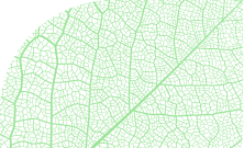 Top 10 Inventory Management Challenges & Solutions | LEAFIO