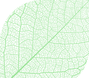 Top 10 Inventory Management Challenges & Solutions | LEAFIO