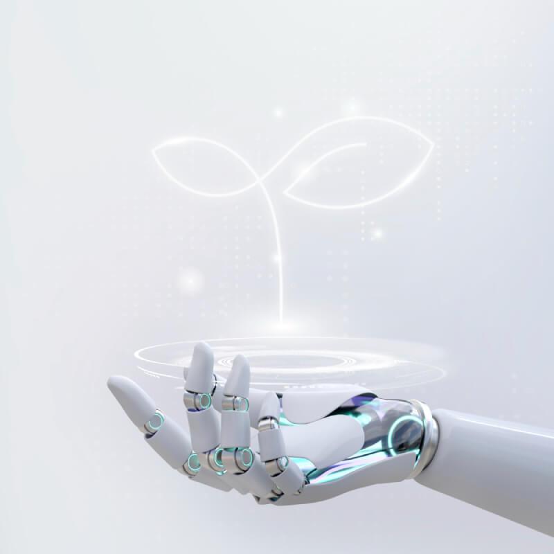 Machine Learning Inventory Management: Transforming Retail🚀